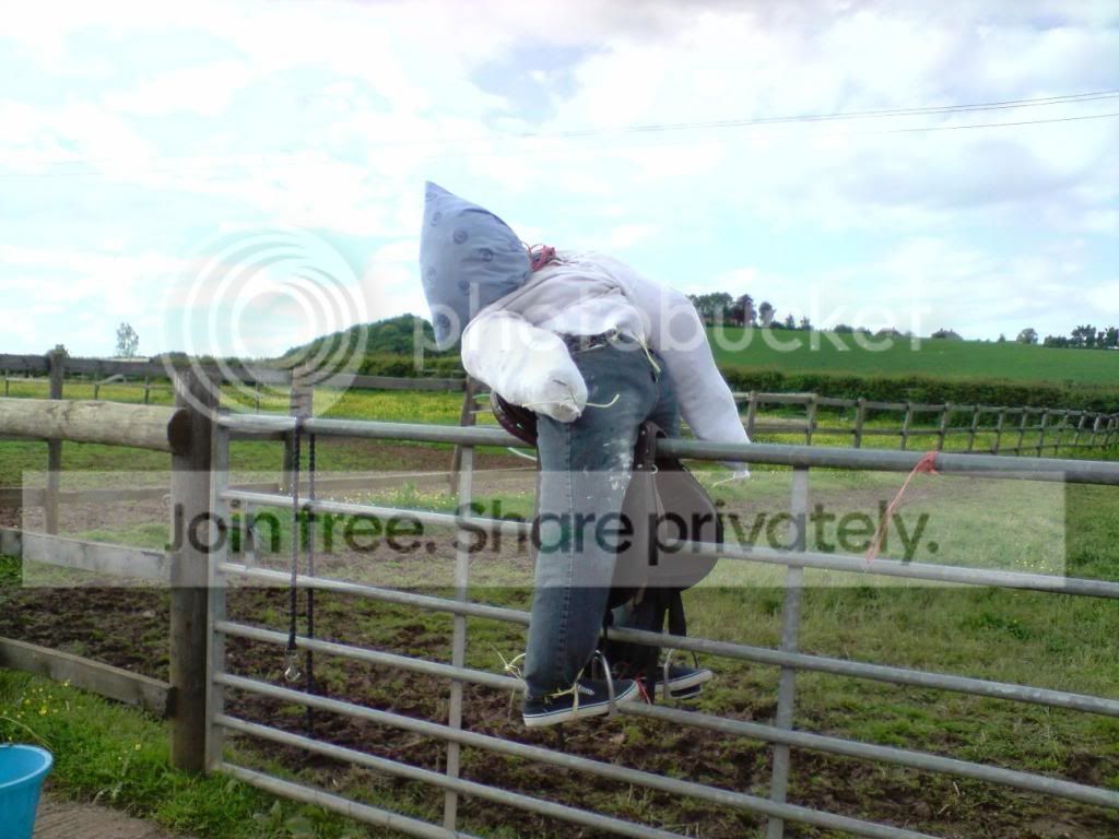Dummy Rider for breaking in - ideas please | Horse and Hound Forum
