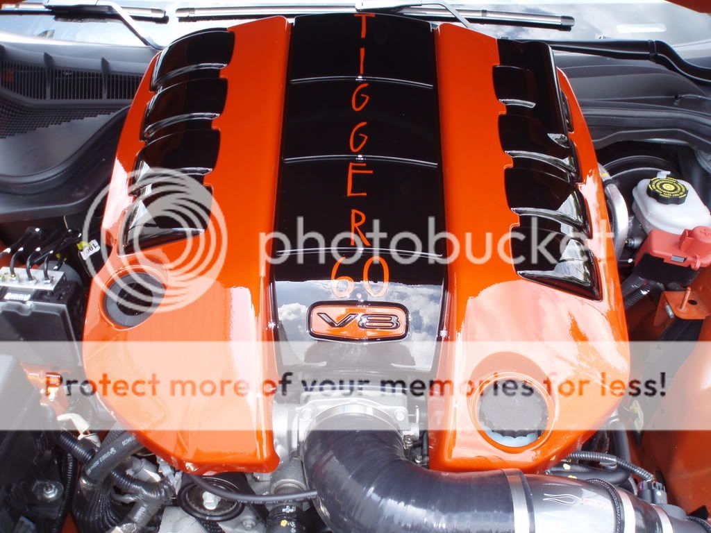Custom Painted Engine Cover | Pontiac G8 Forum